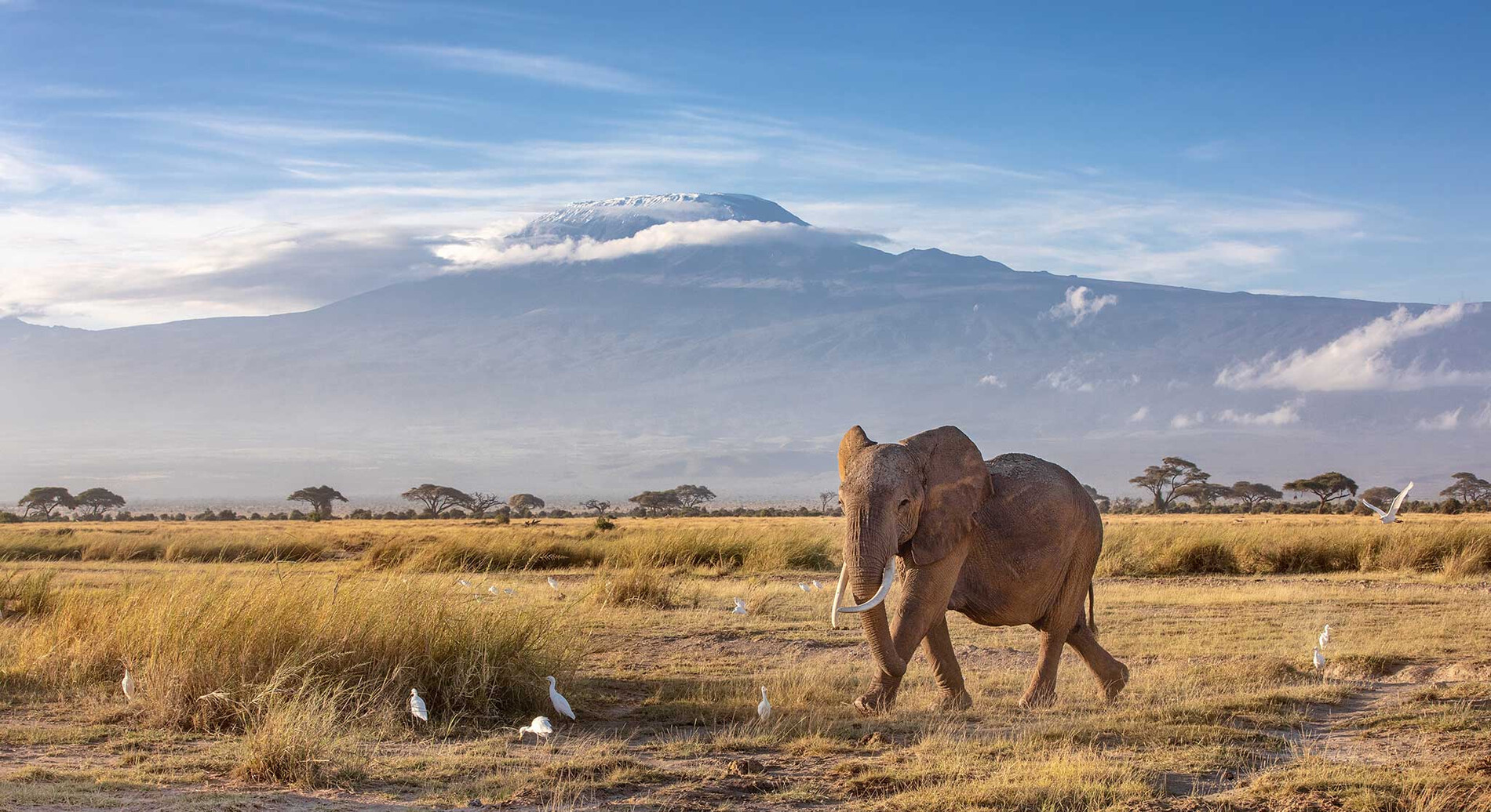 amboseli