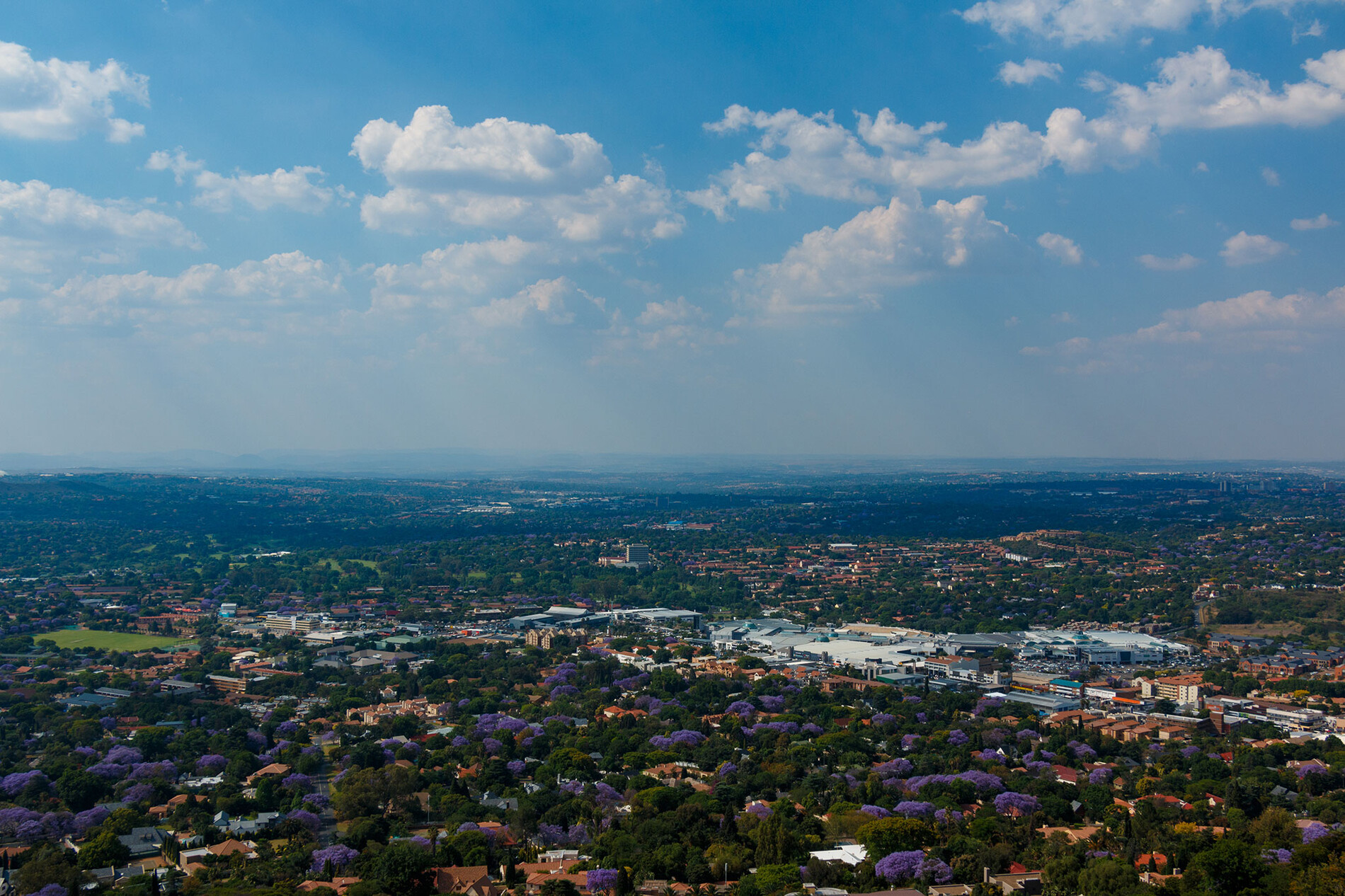 Gauteng, South Africa - Travel Info | Rhino Africa