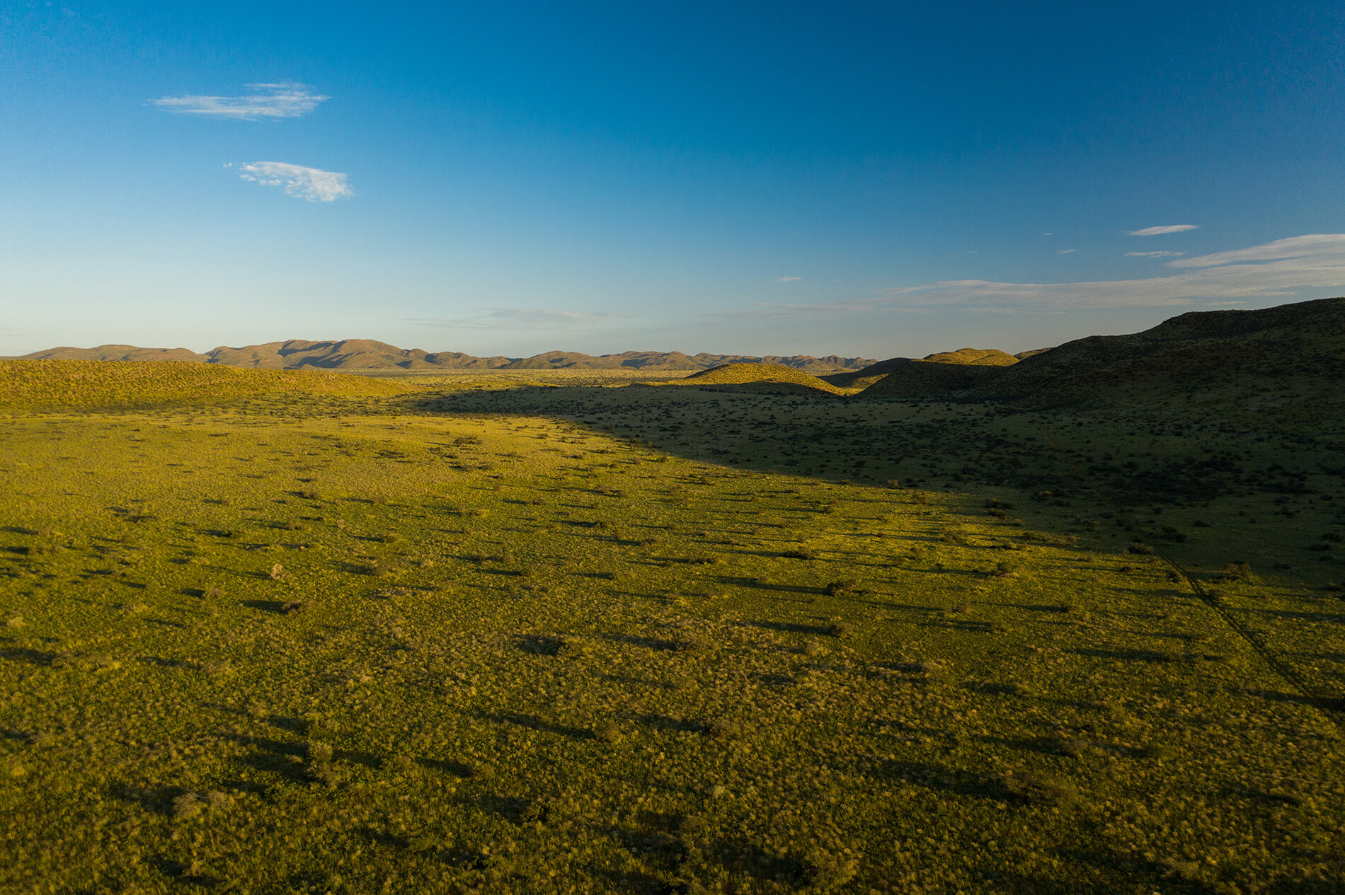 Private Safari in Südafrika Tour