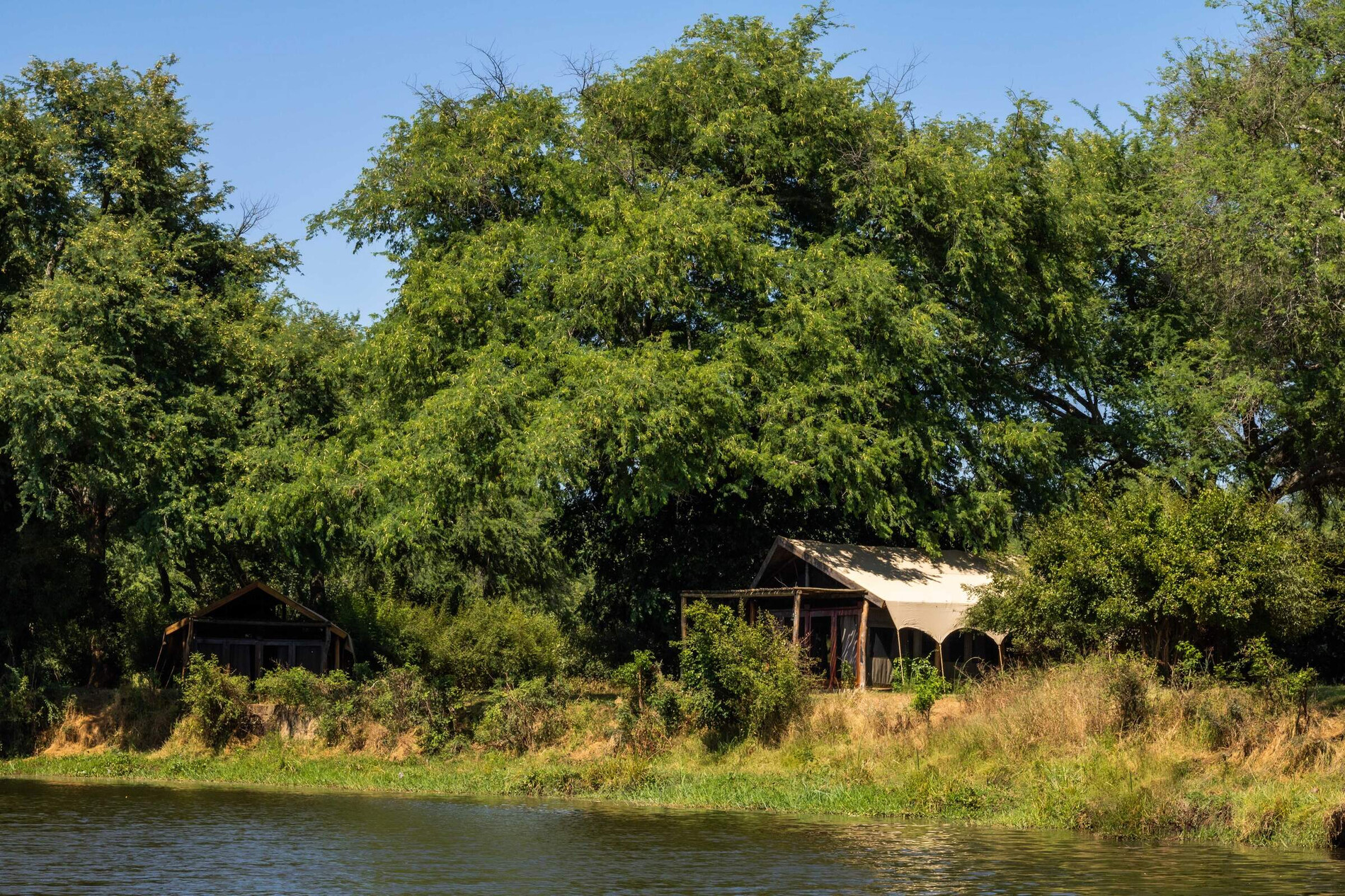 Chongwe River Camp - Zambezi National Park | Rhino Africa