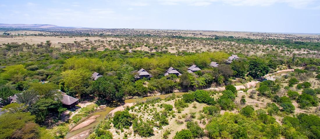 Mara Simba Lodge - Kenya Safari Lodges | Rhino Africa