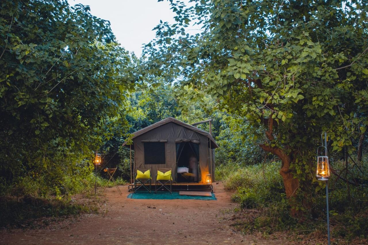 Pafuri Walking Trails Camp - Kruger | Rhino Africa