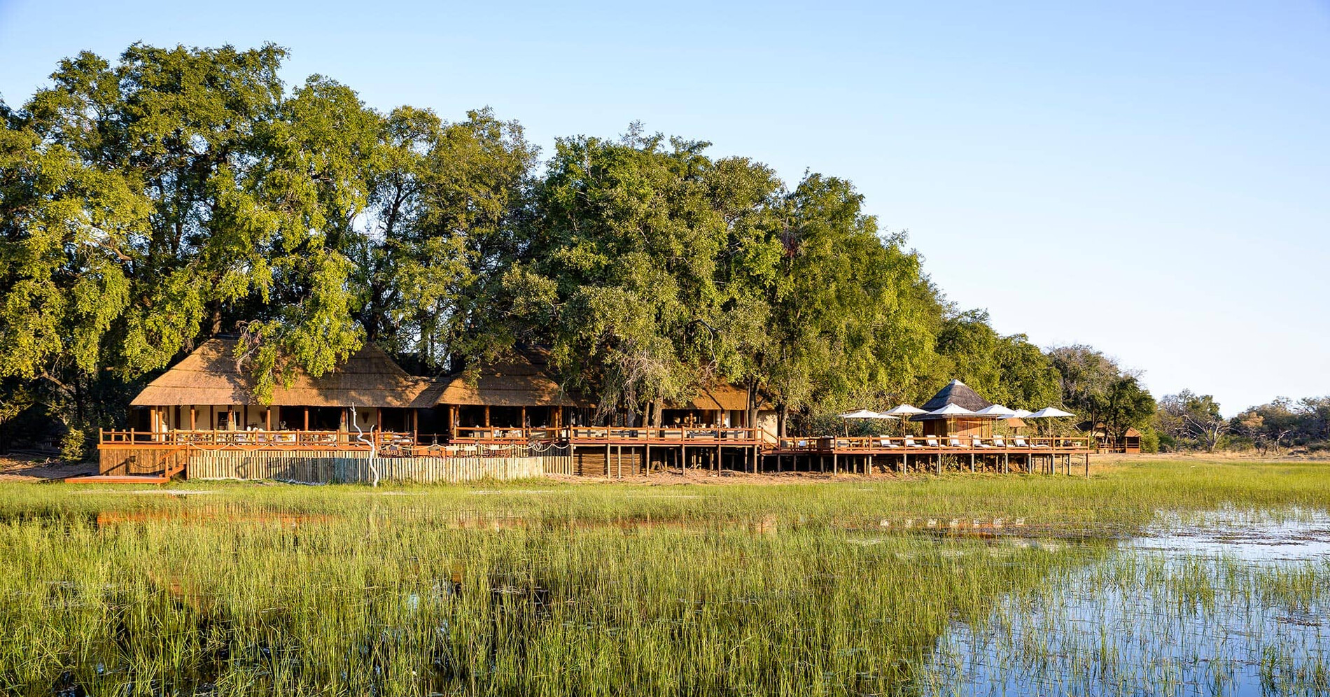 Sanctuary Chief's Camp - Okavango Delta | Rhino Africa